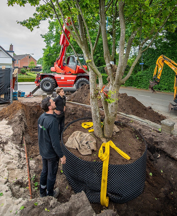 Boom planten - Tuinzicht