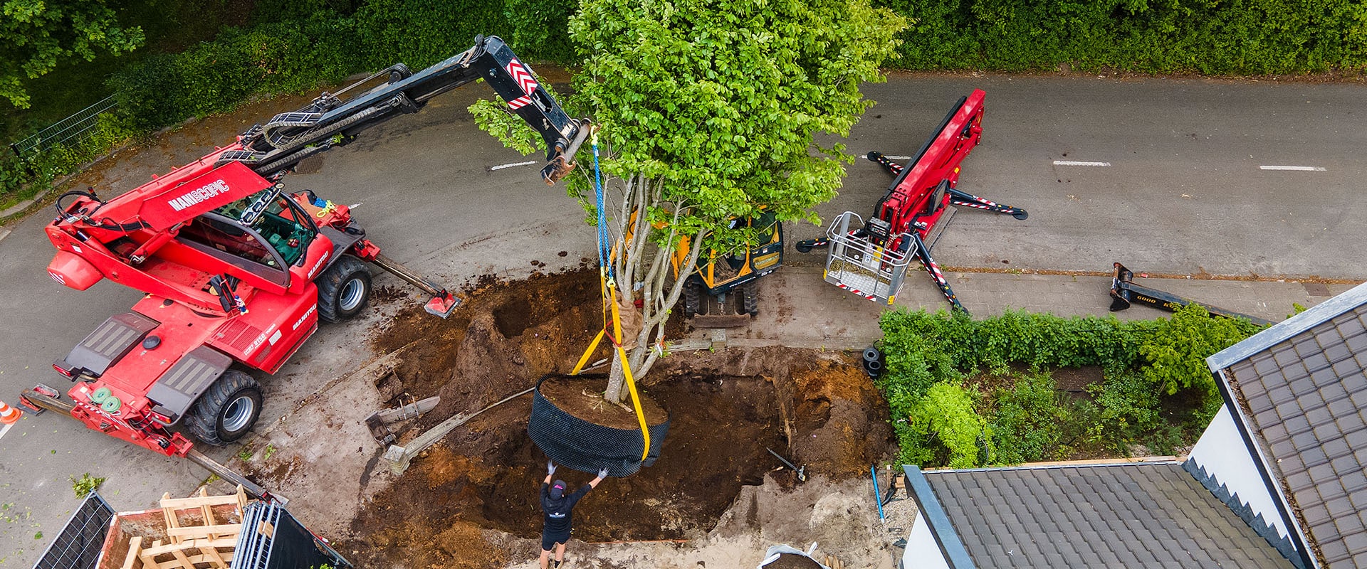 Boom planten - Tuinzicht